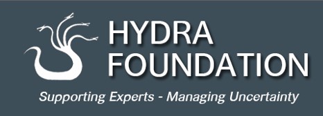 Cyber Crime Debrief | Hydra Foundation